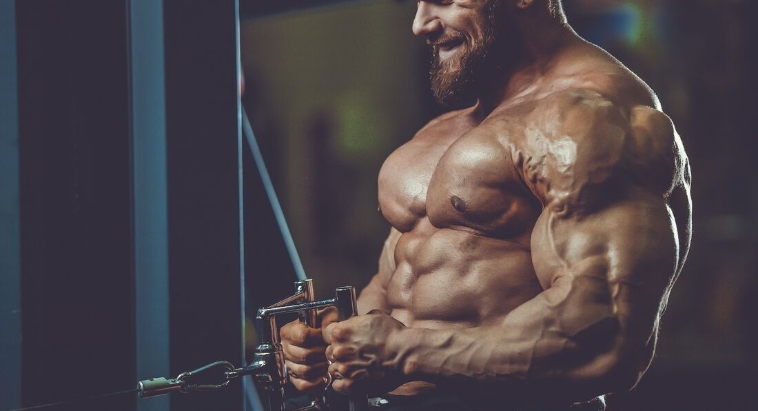 An Exciting Ingredient For Putting On Lean Muscle – LA Muscle - USA