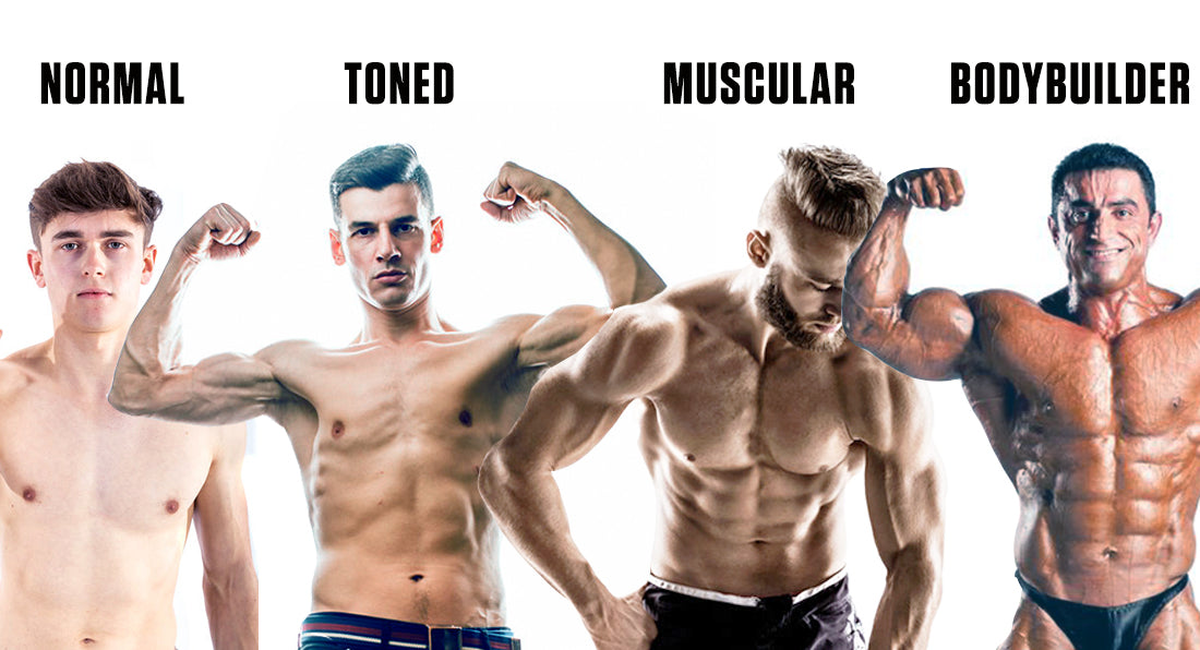 Supplements & Body Types – LA Muscle - USA