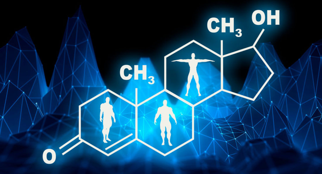 What can THESE Testosterone herbs do for you? – LA Muscle - USA