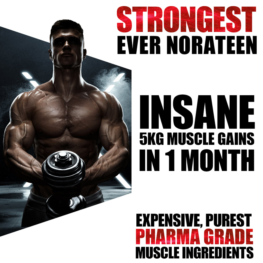 Norateen Muscle Builders – LA Muscle - USA