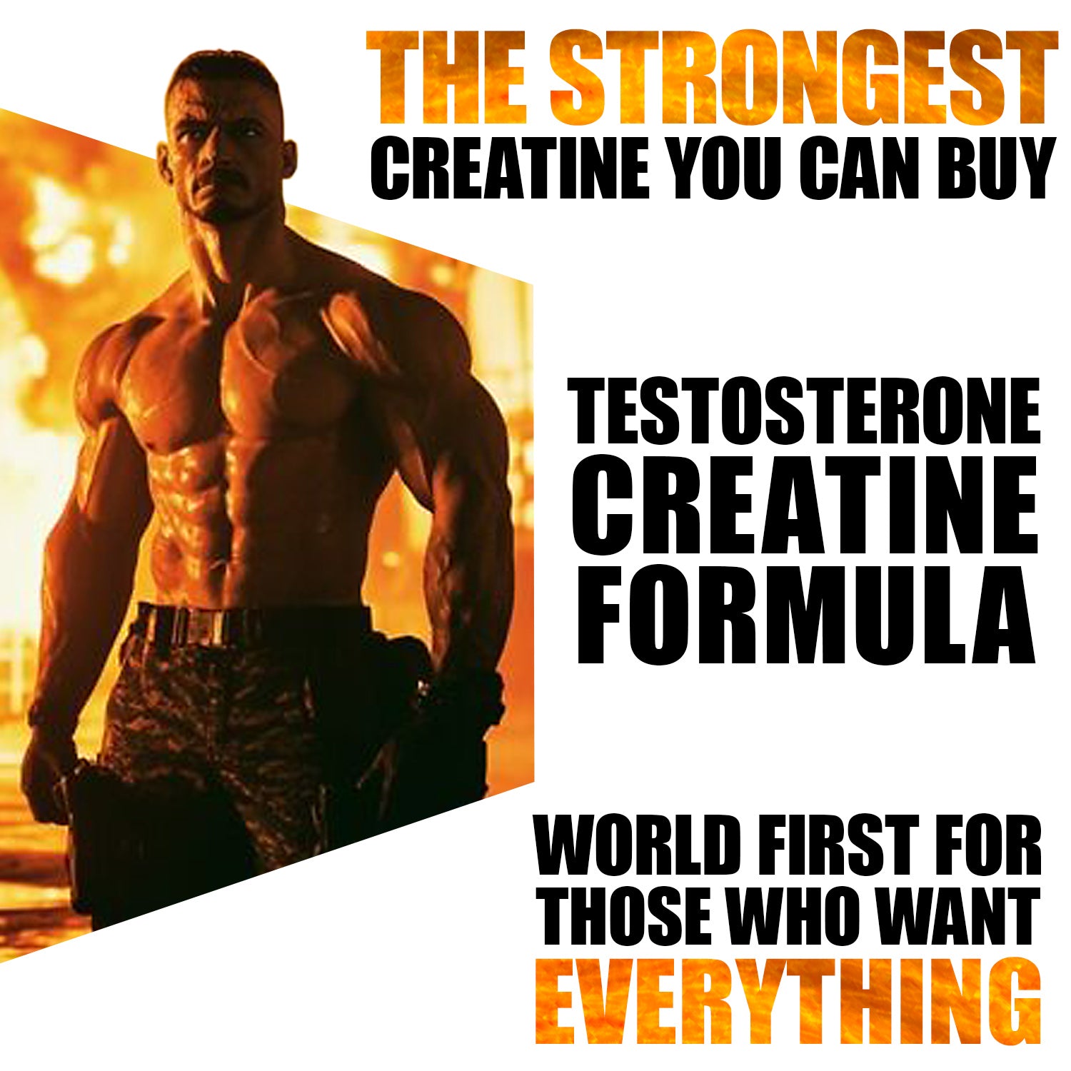 Creatine Supplements – LA Muscle - USA