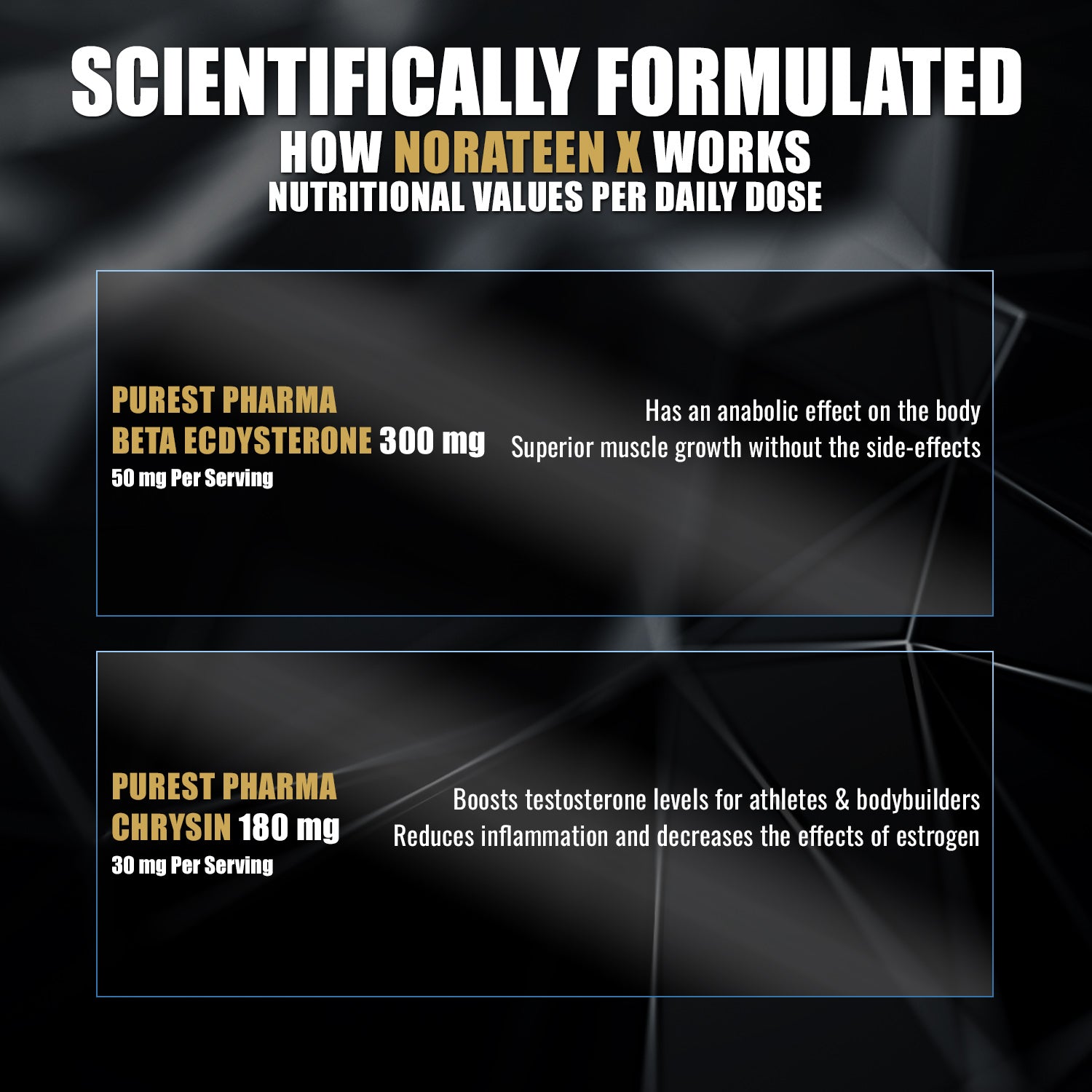 Norateen® X#N#– LA Muscle - USA
