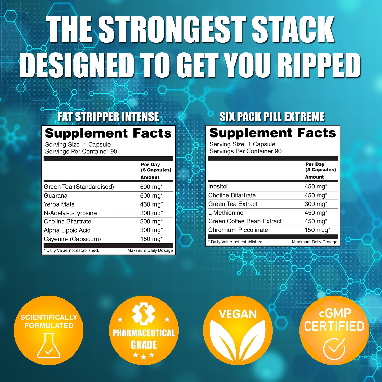 Six Pack MAX INTENSITY – LA Muscle - USA
